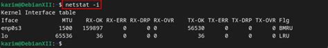 How To Install Netstat On Debian 12 Greenwebpage Community