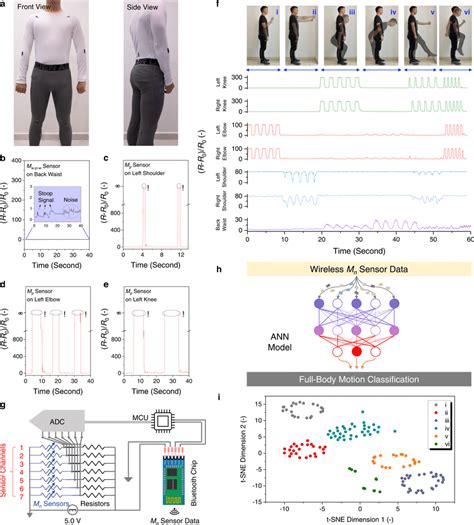Wireless Sensor Module For Full Body Motion Classification A Photos Of Download Scientific
