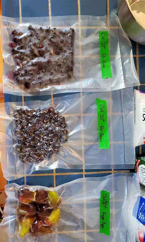 Second Attempt At Lacto Fruit R Fermentation