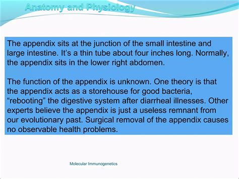 Appendix PPT