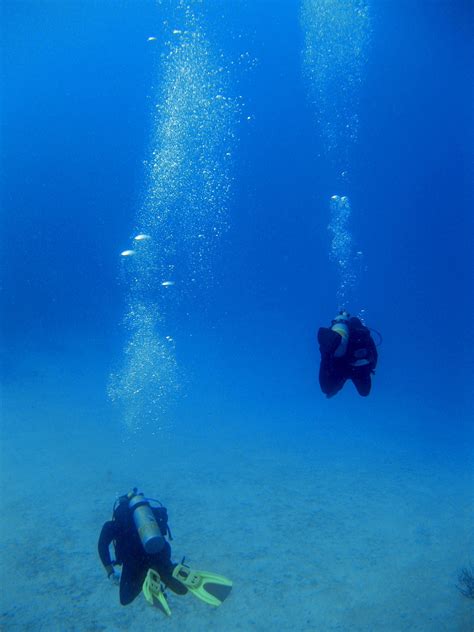 Underwater Divers Bubbles Free Photo On Pixabay