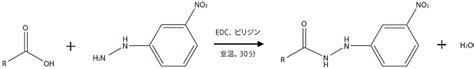 Lcmsmsメソッドパッケージ 短鎖脂肪酸 分析計測機器（分析装置） 島津製作所