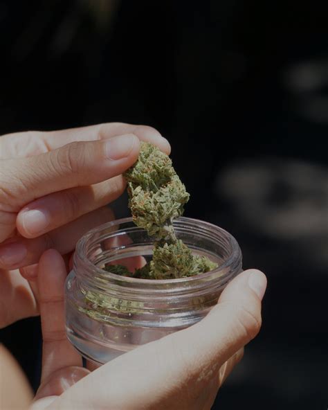 Cbda Vs Thca Cannabis Career Academy