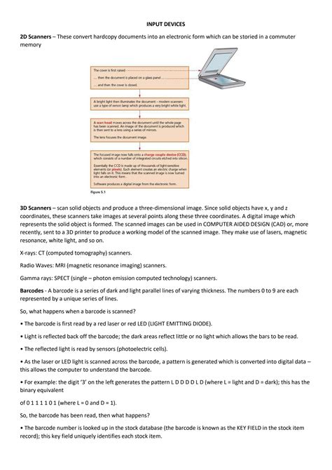 SOLUTION Input Output Devices Notes Studypool