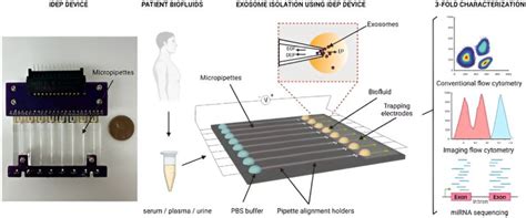 On Linkedin Rapid Purification And Characterization Of