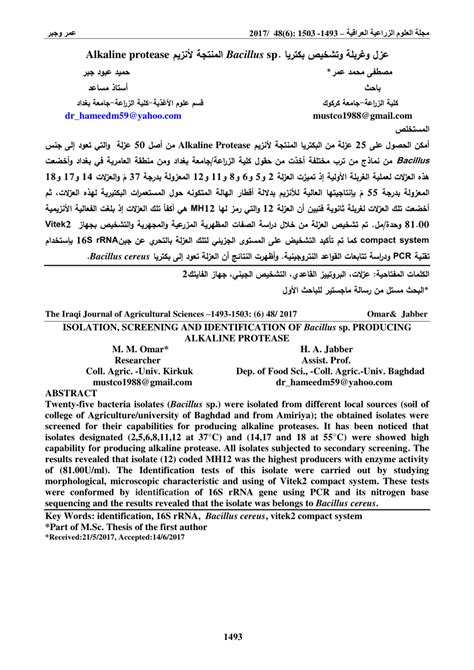 Pdf Isolation Screening And Identification Of Bacillus Sp Producing Alkaline Protease