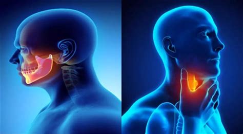 关于口腔及头颈癌，你知道多少？ Bmc精选研究—论文—科学网