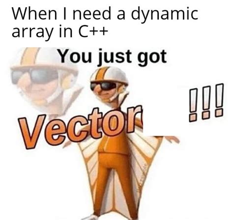 std vector r programmerhumor