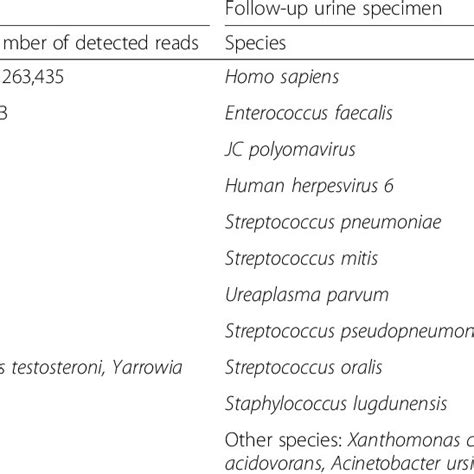 Pdf Identification Of Enterococcus Faecalis In A Patient With Urinary Tract Infection Based On