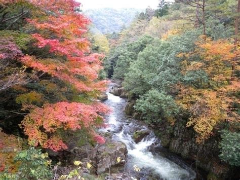 匹見峡の紅葉紅葉情報2021