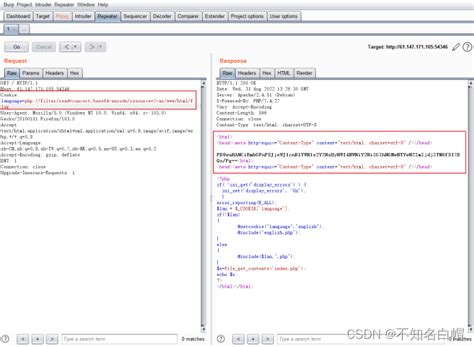 攻防世界web练习 Fileinclude Csdn博客