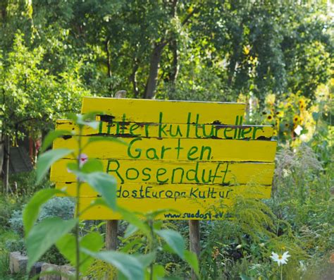 Екоклуб Рівне природоохоронна громадська організація Офіційний сайт громадської організації