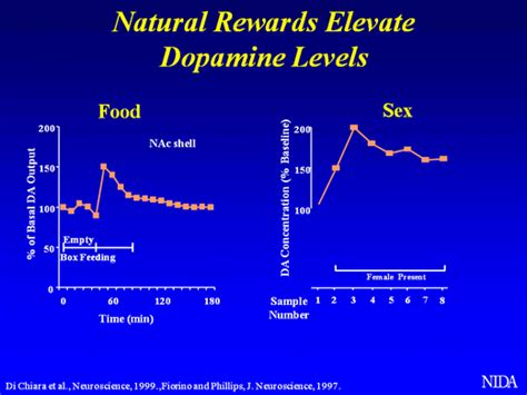 Dopamine Levels Graph Album On Imgur Dopamine Levels Graph Album On Imgur