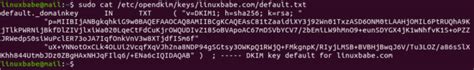 Part Set Up SPF DKIM With Postfix On Debian Server LinuxBabe
