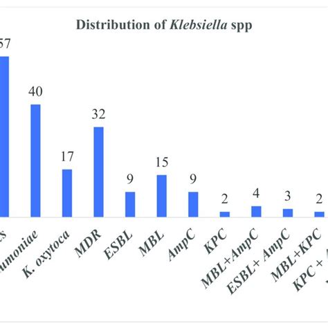 Distribution Of Esbl Mbl Ampc And Kpc Producing Klebsiella Spp Download Scientific Diagram