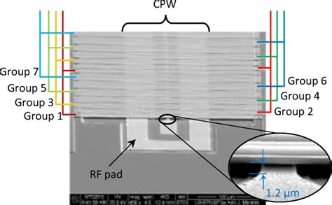 Scanning Electron Microscope Image Of The Mems Phase Shifter Download