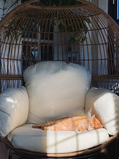 Made A Lil Snoo With Tinkercad R Tinkercad