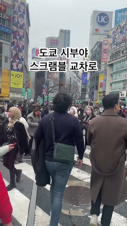 도쿄 시부야 스크램블 교차로 Youtube