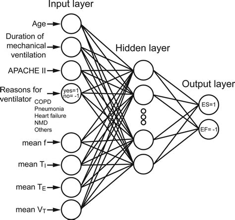 an artificial neural network a multilayer perceptron the input layer