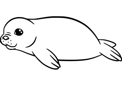 Cría De Foca Para Colorear Imprimir E Dibujar Coloringonlycom