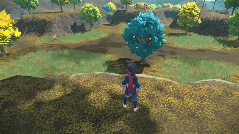 Droning Meadow Bulbapedia The Community Driven Pokémon Encyclopedia