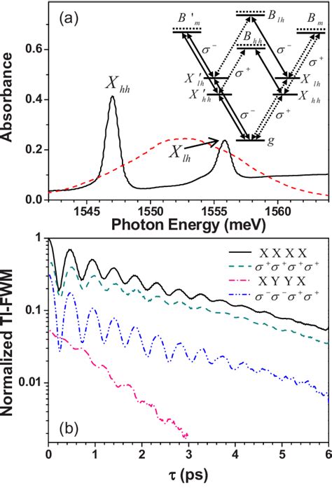 Figure 2 From Polarization Dependence Of Semiconductor Exciton And