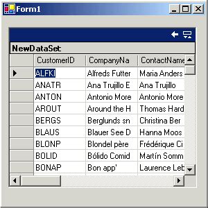 DataGrid Displaying Data In VB NET