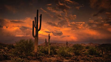 As The Sky Glows In Shades Of Sherbert Photograph By Saija Lehtonen Fine Art America