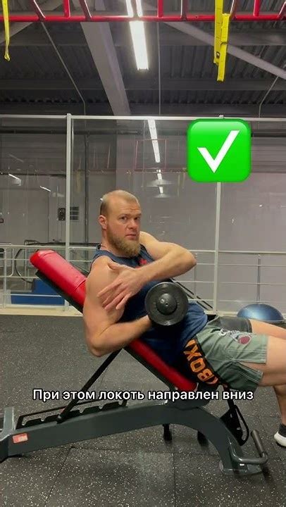 Сгибание на бицепс на наклонной скамье Делай правильно Youtube