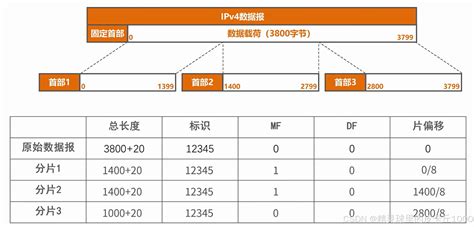 数据链路层数据帧格式及网络层ip数据包格式ip数据帧 Csdn博客