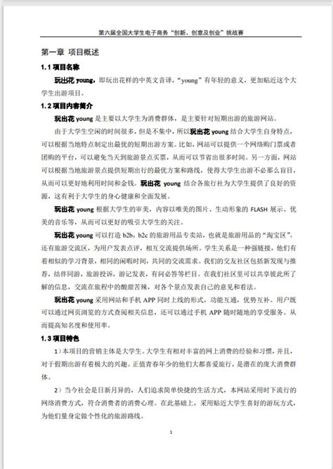 玩出花 Young旅游网站 项目计划书 竞赛文库网