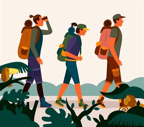 Straight Line In The Cartesian Plane Equations Of The Line • Stem Online