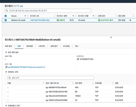 Aws Sk 브로드밴드 Ec2 Ssh 접속 Issue
