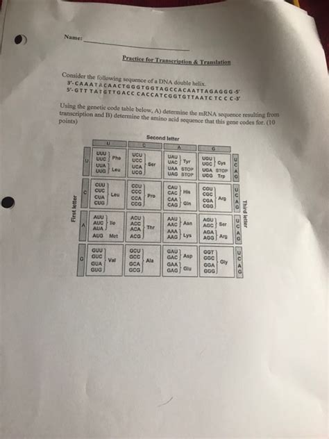 Solved Name Consider The Following Sequence Of A DNA Double Chegg Com