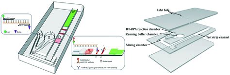 Biosensors Free Full Text Microfluidic Device Based Virus Detection And Quantification In