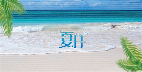 여름 배경 사진 및 창의적인 일러스트 무료 다운로드 Lovepik