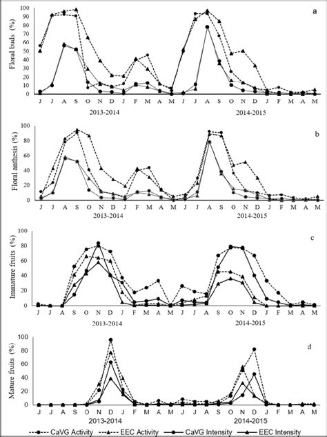 Reproductive Phenology Of Monteverdia Ilicifolia Celastraceae From Download Scientific