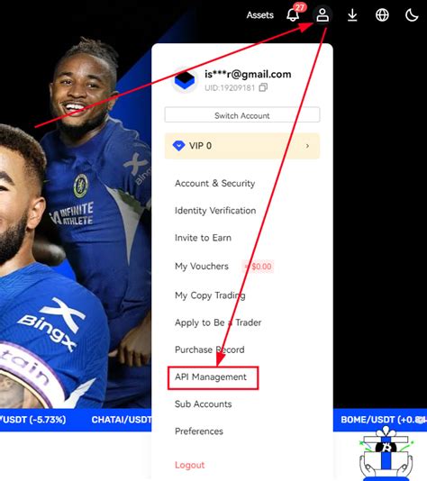 How To Create An Api Key On Bingx And Bind It To Veles Veles Help Center