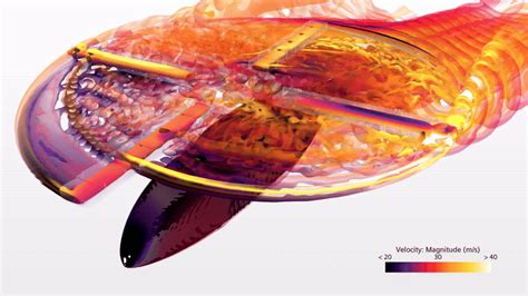 Introducing The Perić Lectures On Cfd By Milovan Perić