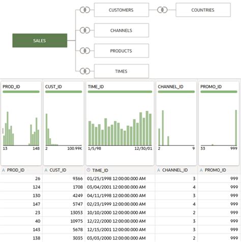 Analyze Datasets With Multiple Tables Using Oracle Analytics Explain