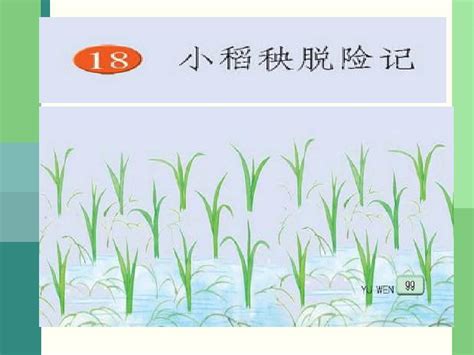 18小稻秧脱险记 word文档在线阅读与下载 无忧文档