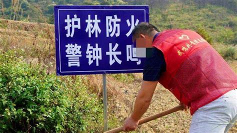 男子放鞭炮引发山火被判刑，还要种树充“植”凤凰网视频凤凰网
