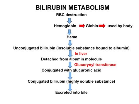 Unit 3 Nursing Care Of A Neonate Hyperbilirubinemia Neonate Ppt