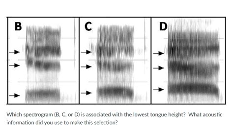 Solved Which Spectrogram B C Or D Is Associated With Chegg
