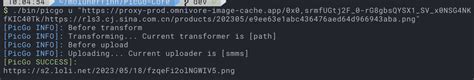 Picgo Core 不识别网络图片链接 · Issue 153 · Picgopicgo Core · Github
