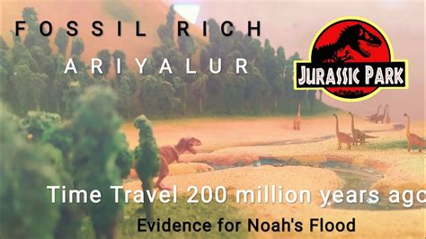 Fossil Museum Fossil Hunting Tamil Nadu Ariyalur Under The Sea Million Years Ago YouTube
