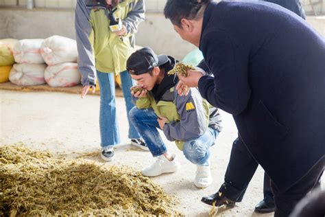 郑恺赴安徽临泉调研 用互联网思维助力脱贫攻坚战 360娱乐，你开心就好