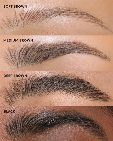 Brow Tint Best At Dennis Penn Blog