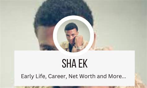 Sha Ek Net Worth A Look At The Wealth Of The Popular YouTuber Tycoonworth