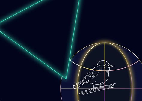 a complete guide to canary testing